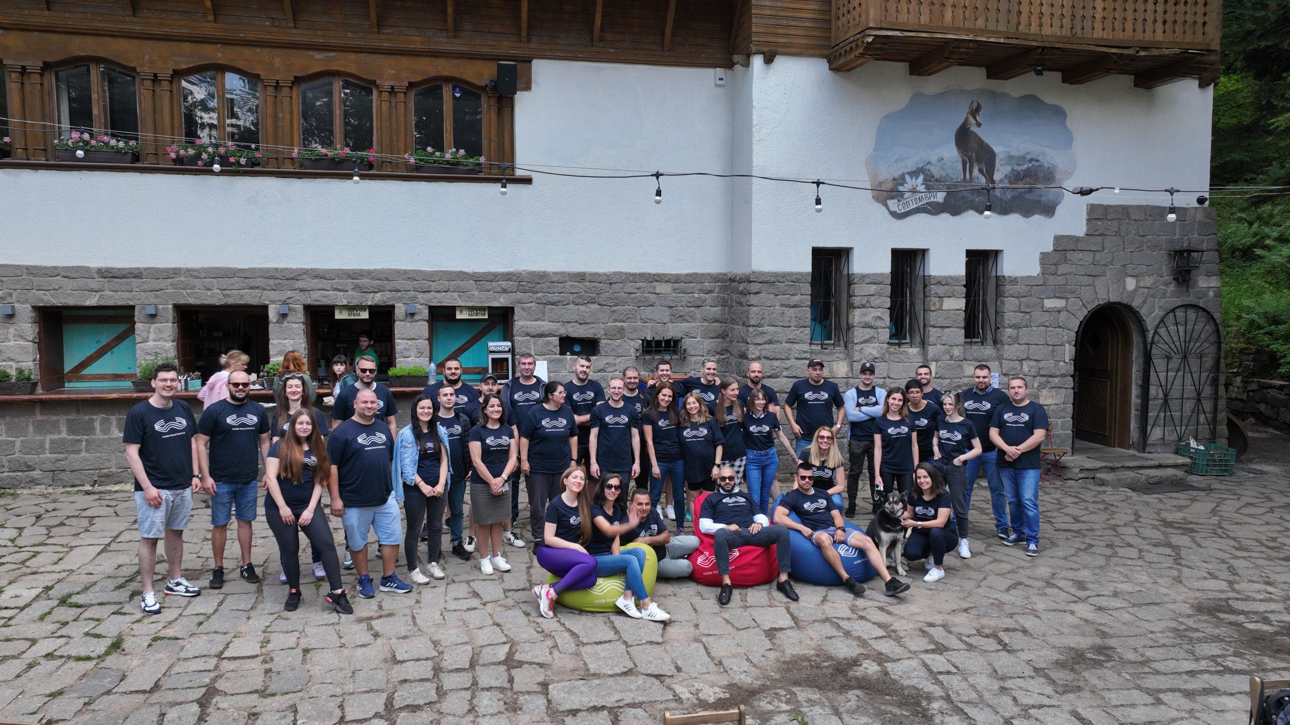 Mobile Wave Solutions – ИТ обяви за работа, придобивки, екип и мнения